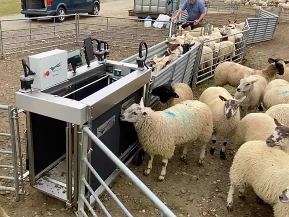 Pharmweigh - Electronic Livestock Weighing Equipment